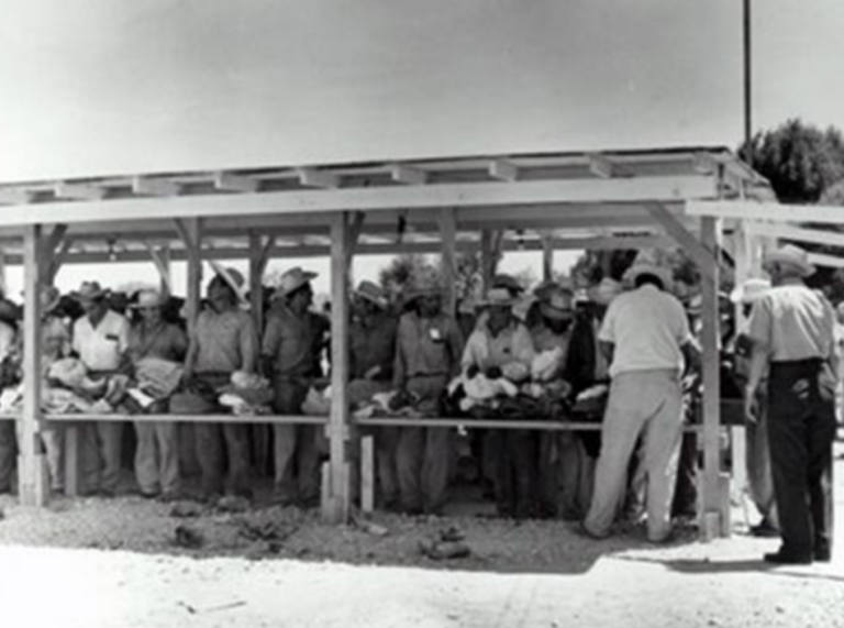 10: USCIS, Bracero Program Images (1951-1964)